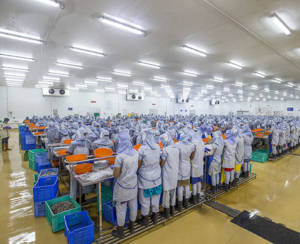 Pre-Processing Facilities – Seafood Company